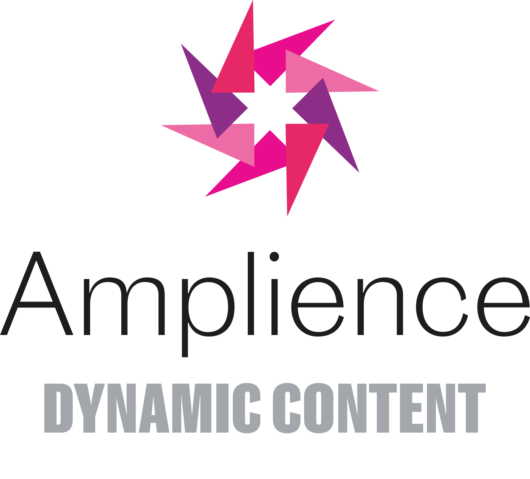 GitHub - amplience/dc-accelerators-content-types